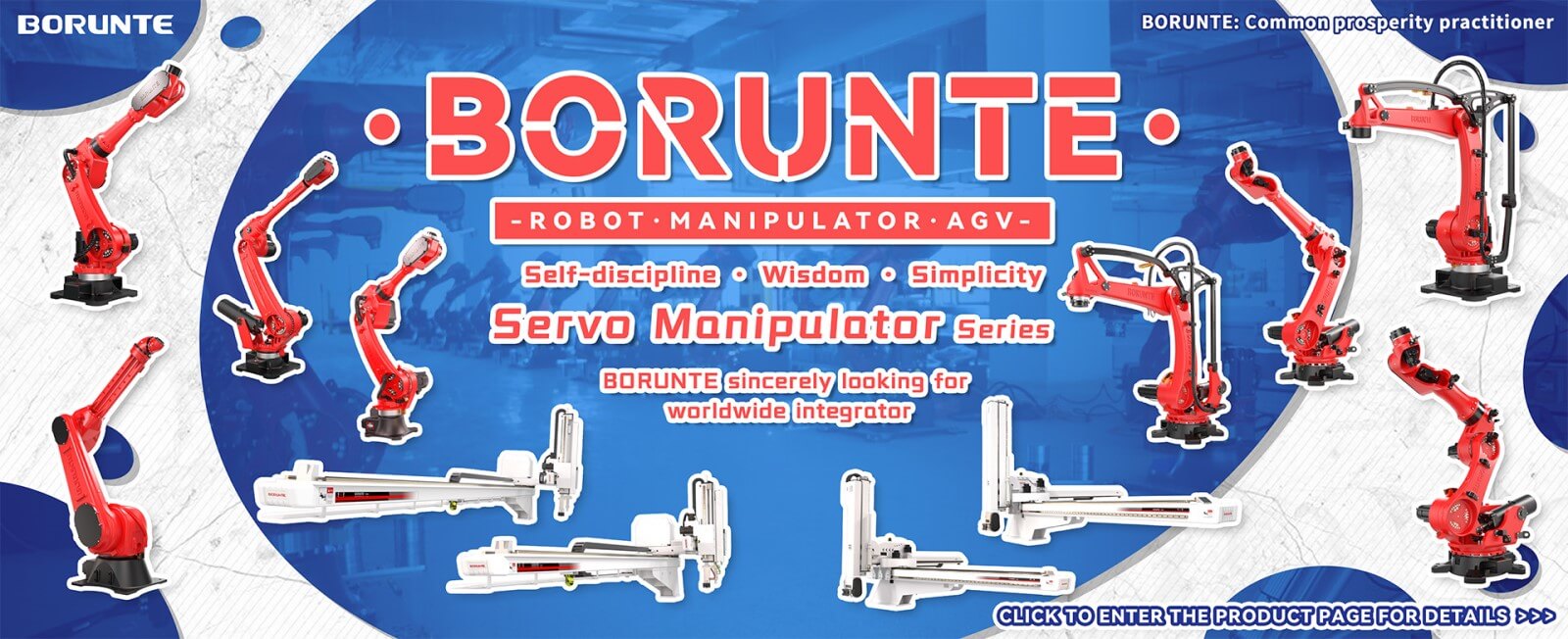 Industrial Robot, Six Axis Robot - BORUNTE